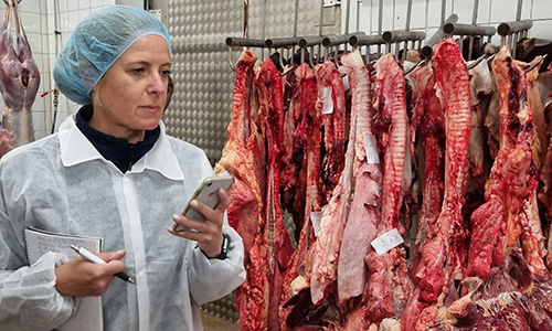 Småskalig slakt i fokus – ny handbok och riktlinjer banar väg för ...